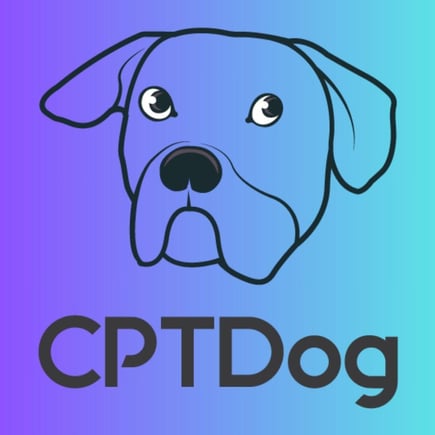 OPT to Day 1 CPT: SEVIS Transfer Guide